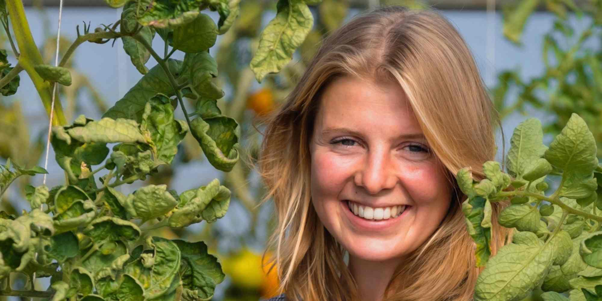 Dirndln am Feld: Am Anfang da war ein leeres Feld