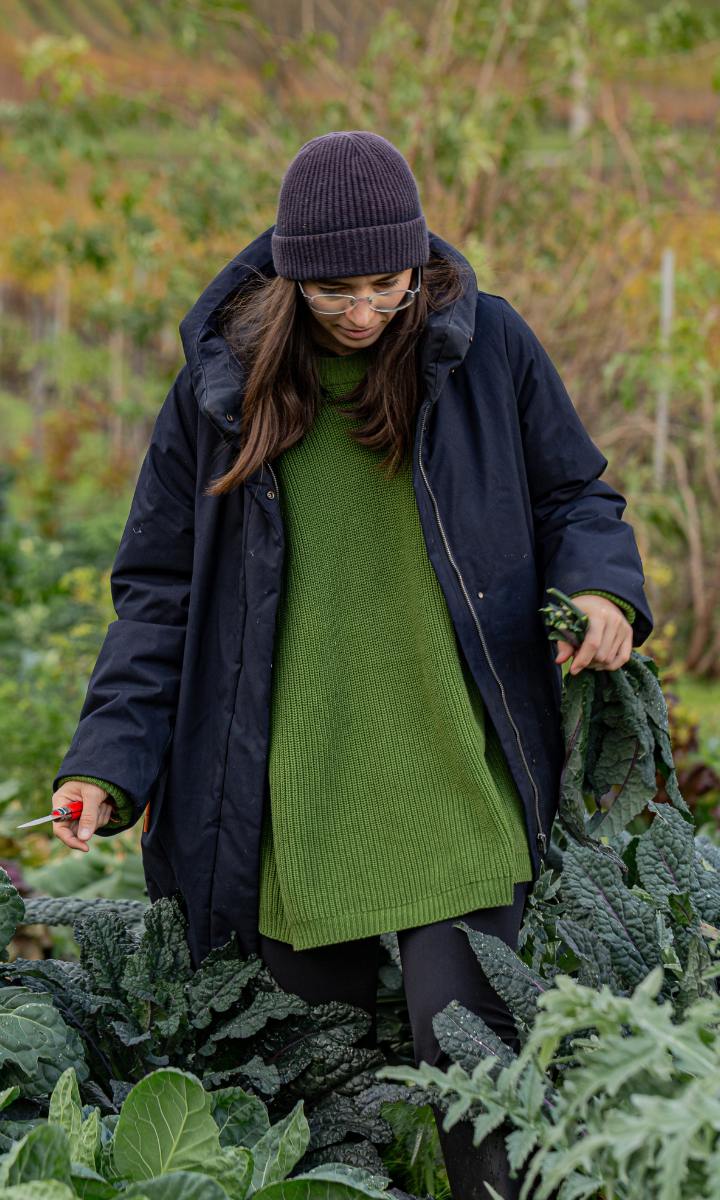 Clarence Gärten: Im Gemüse liegt die Kunst