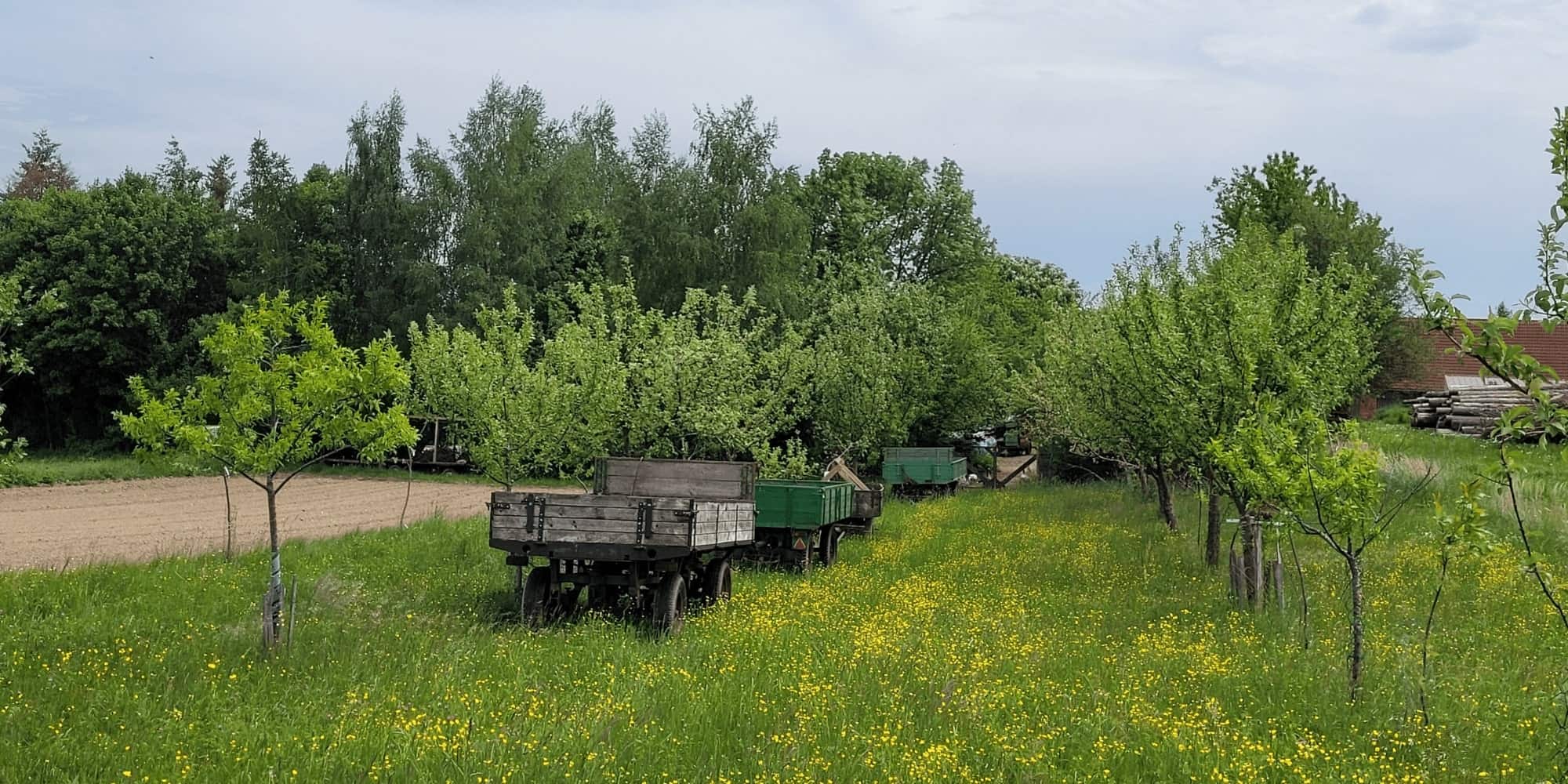 Biohof Loidolt - „Erpfe is ned Erpfe“ - Gaumen Hoch