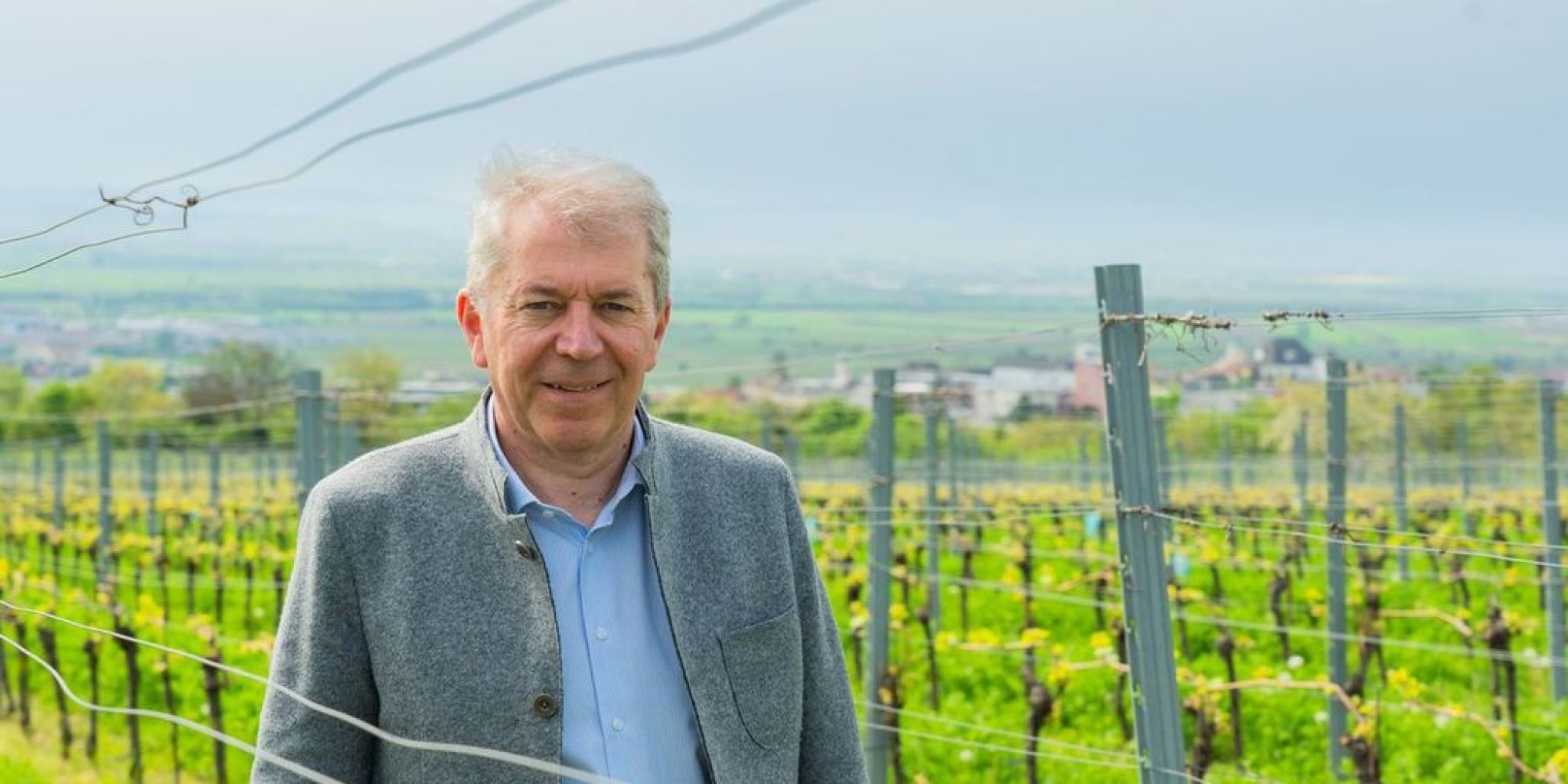 Weingut Erwin Tinhof am Leithaberg - Gaumen Hoch