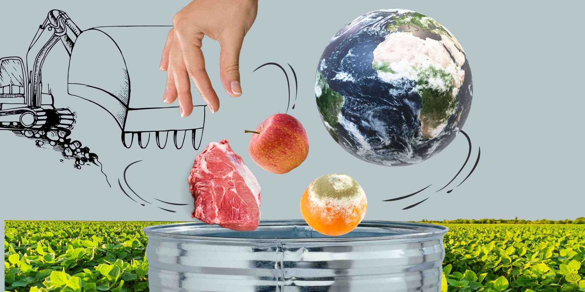 Wenn Menschen die Müllberge füttern