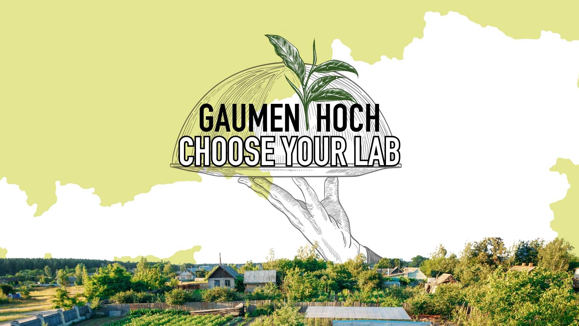 Gaumen Hoch-Connection: Choose your Lab! - Gaumen Hoch
