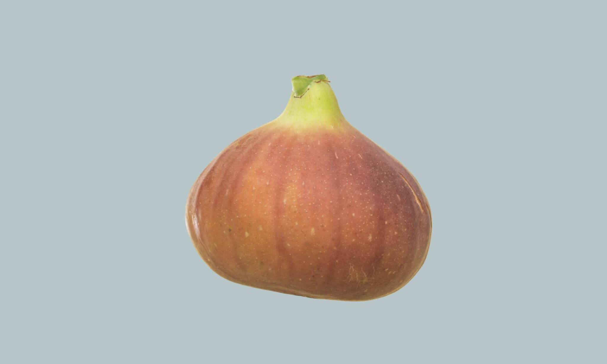 Feige: Eine Frucht zwischen Mythos und Meisterwerk - Gaumen Hoch